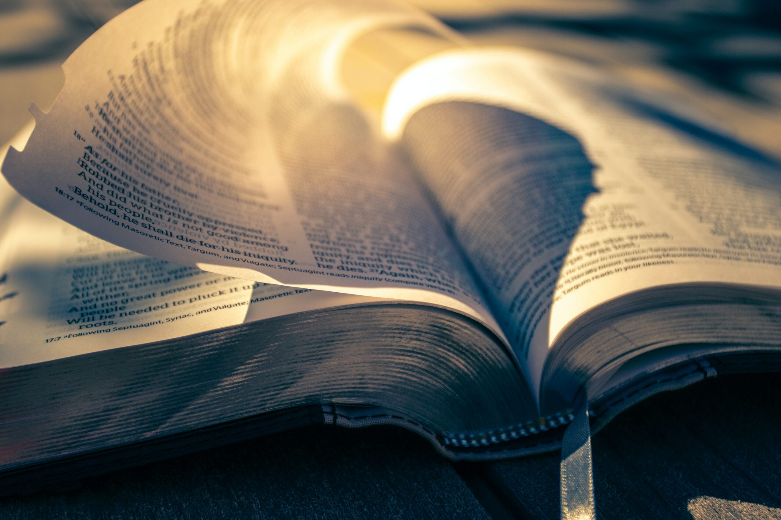 Brothers, Read 'The Christian Ministry' by Charles Bridges · The ...